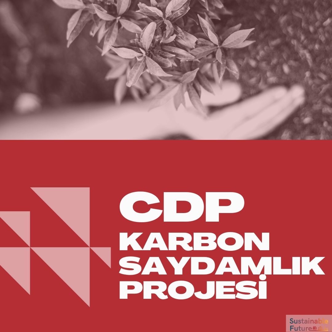 CDP NEDİR ? | Sustainable Future